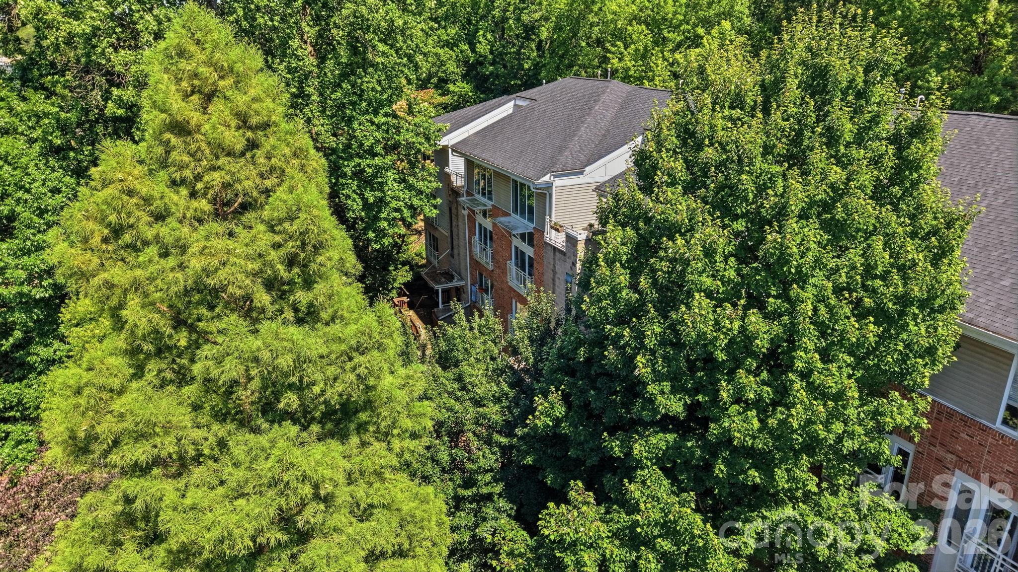 Photo 47 of 3825 Picasso Court, Charlotte, NC