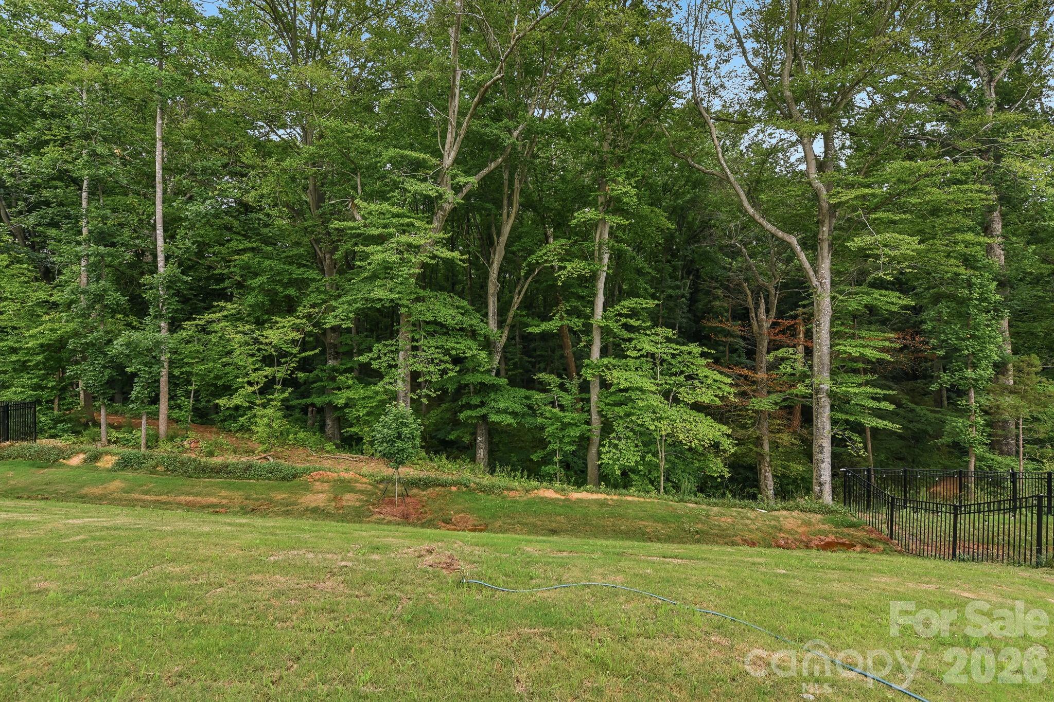 Home for sale at 167 Asmodean Lane, Troutman, NC — photo 29 of 32