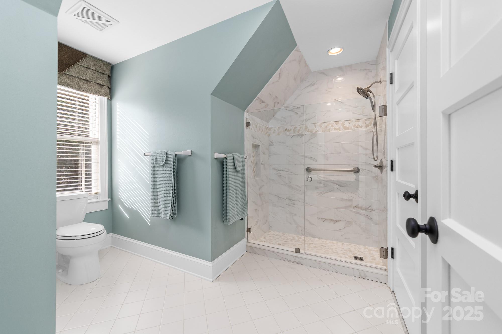 18316 Mainsail Pointe Drive, Cornelius, NC - photo 37 of 46