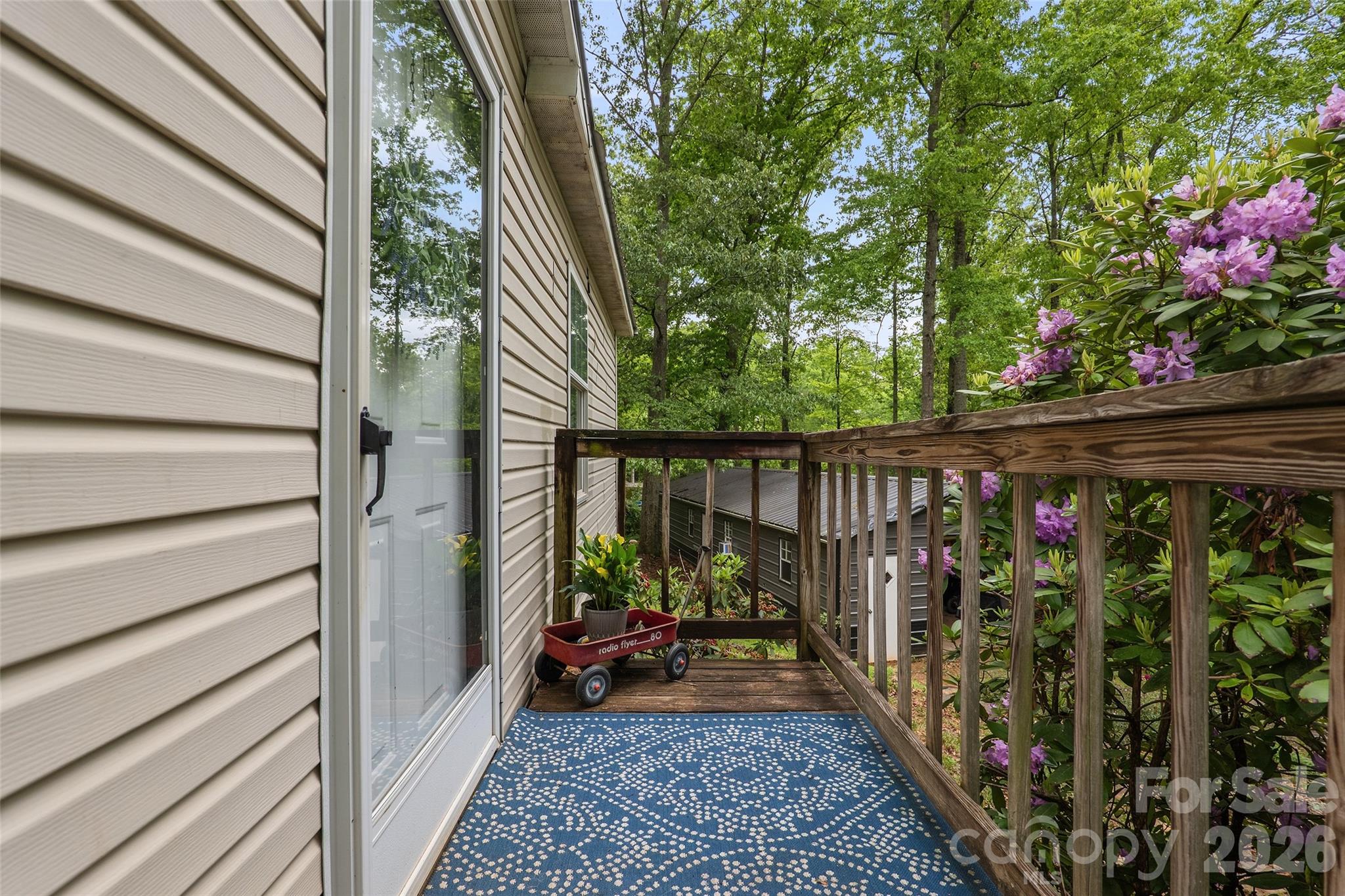 611 Turkey Creek Terrace, Leicester, NC - photo 9 of 43