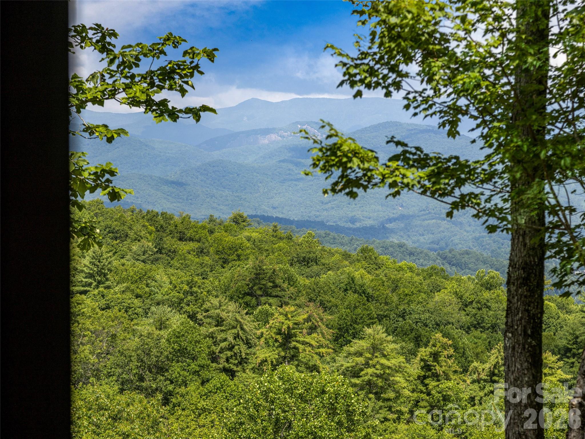 30 Banks Lane, Brevard, NC - photo 35 of 49
