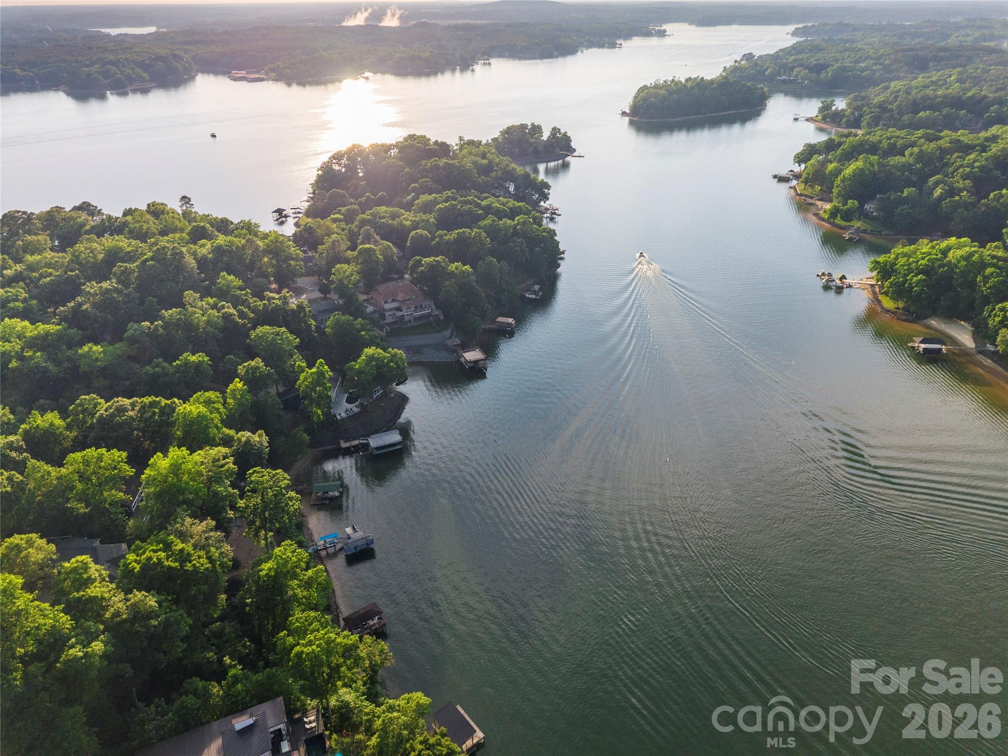 3072 Point Clear Drive, Tega Cay, SC - photo 46 of 48