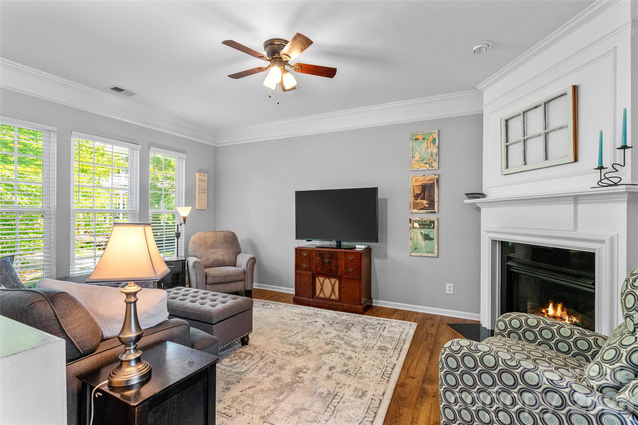 720 Passage Drive, Fort Mill, SC - photo 8 of 37