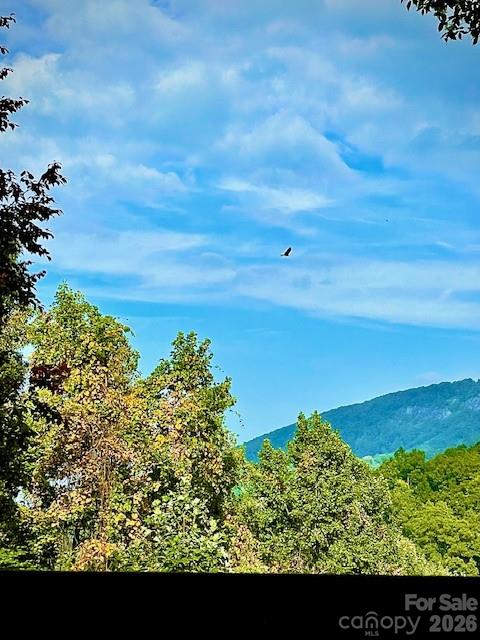 771 Sally Gap Road, Old Fort, NC - photo 45 of 49