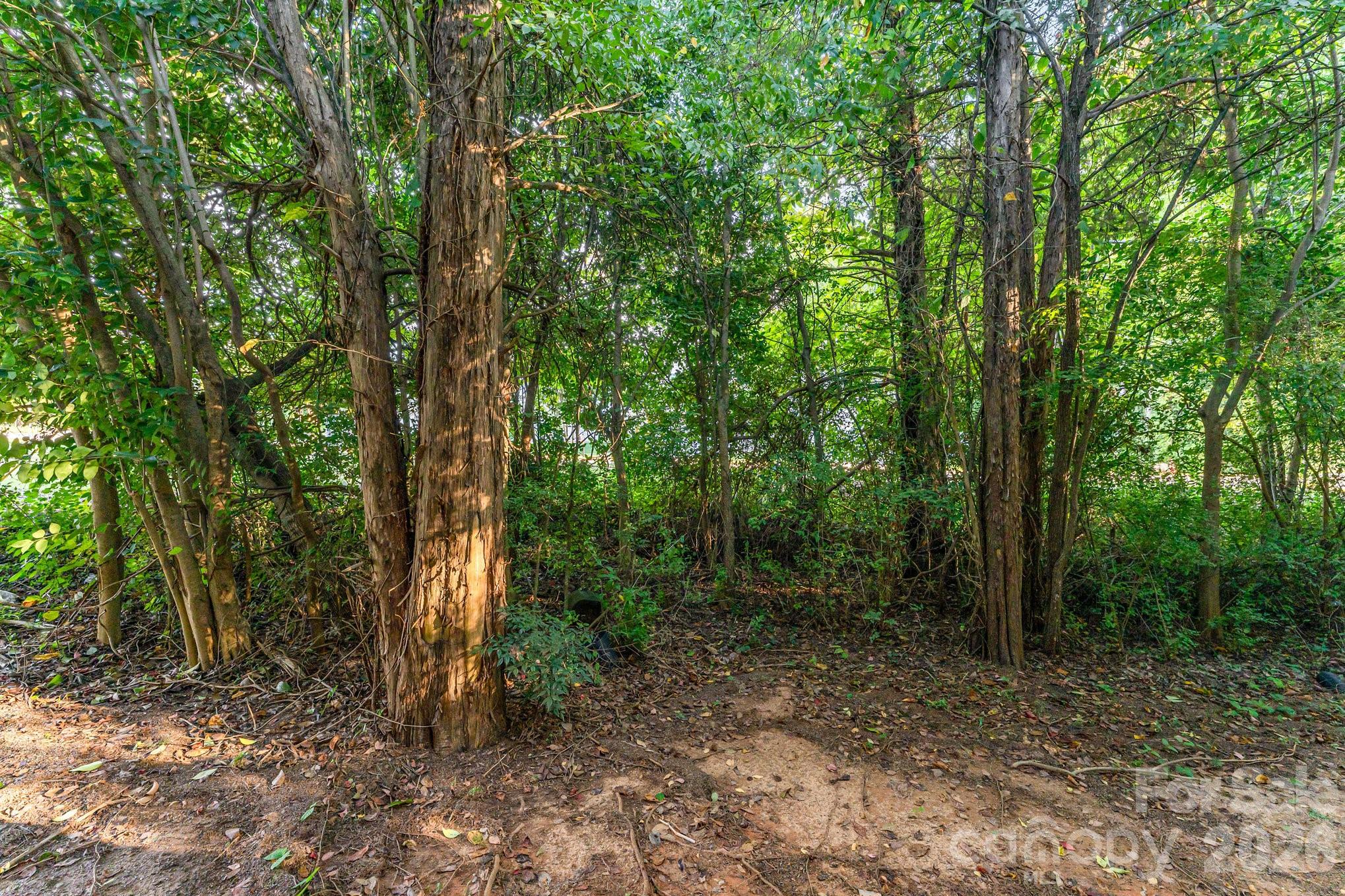 Photo 18 of 5356 Austin Knoll Court, Charlotte, NC