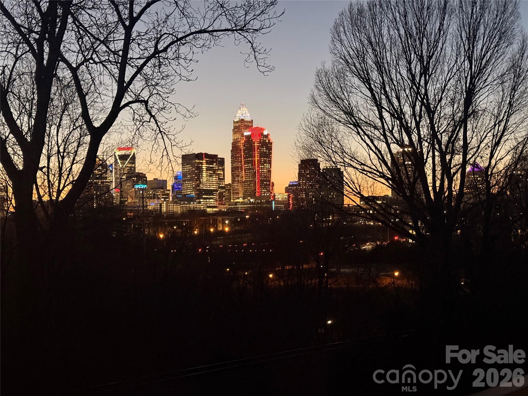 Photo 32 of 513 Strong Avenue, Charlotte, NC