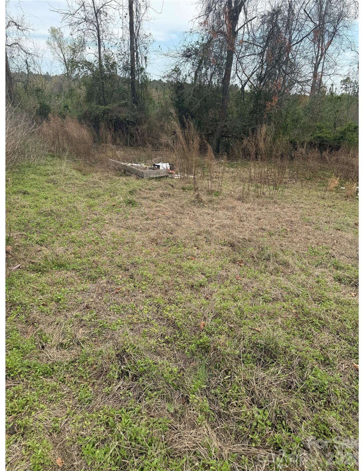 38 Short Eason Road, Ruby, SC - photo 19 of 22