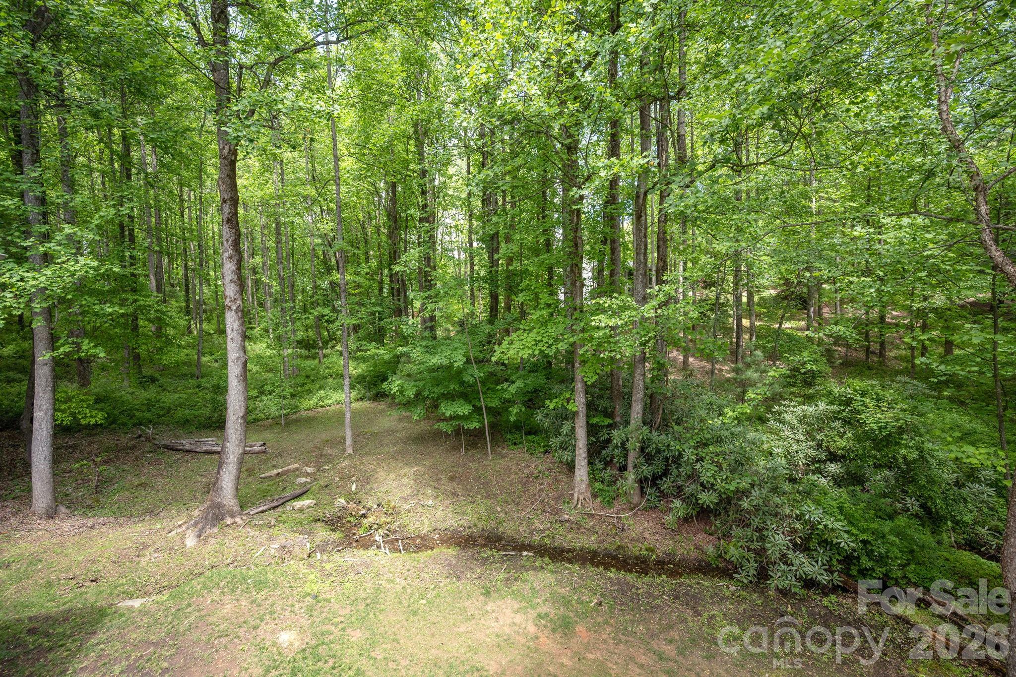 113 CHANCERY Court, Flat Rock, NC - photo 24 of 46