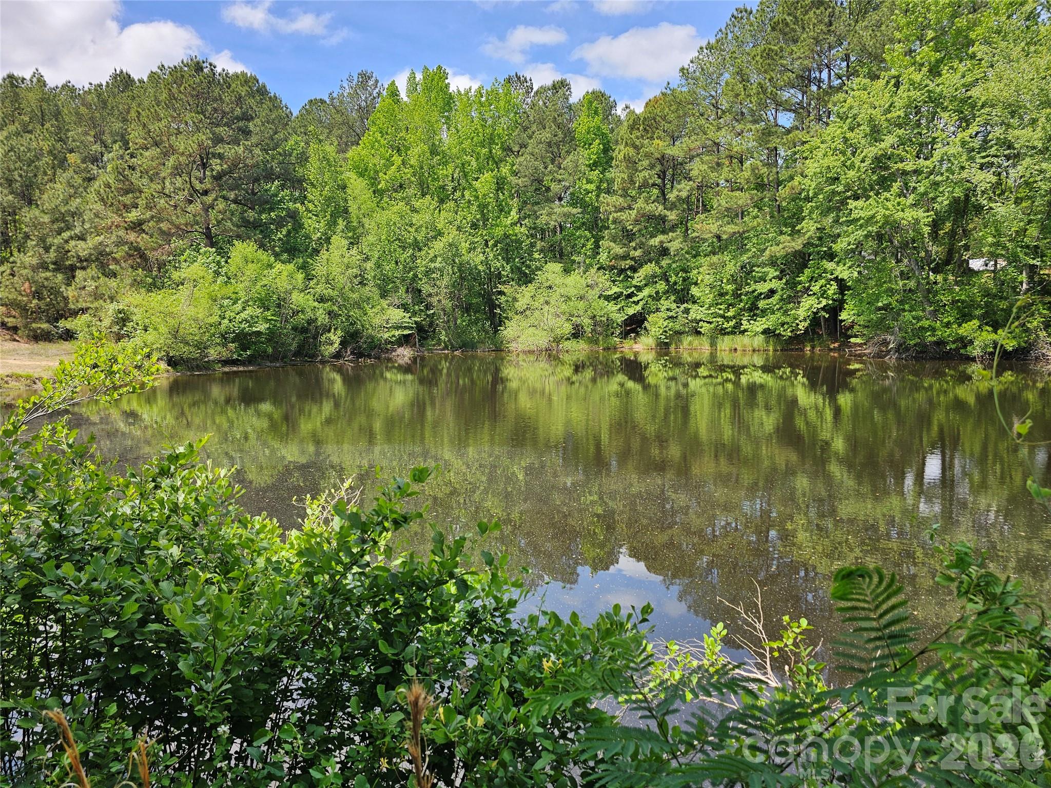 5692 Brooklyn Road, Great Falls, SC - photo 3 of 49