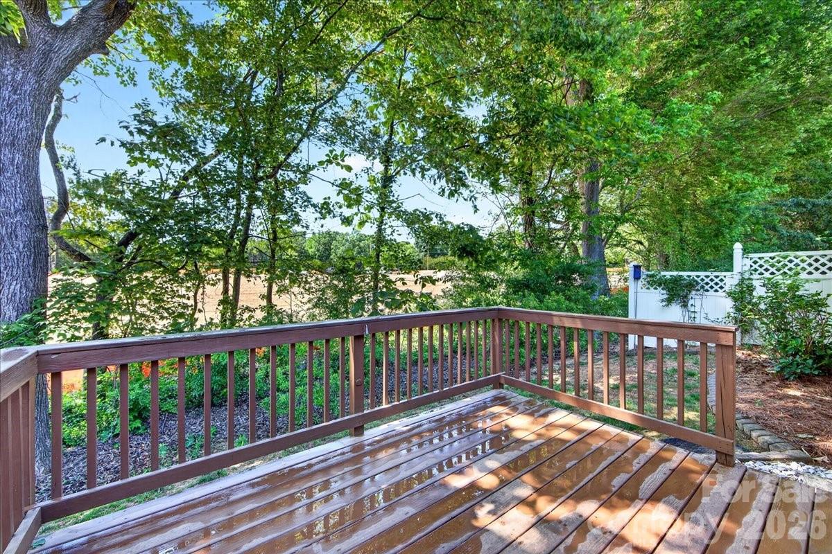 6804 Cinnamon Circle, Mint Hill, NC - photo 43 of 49