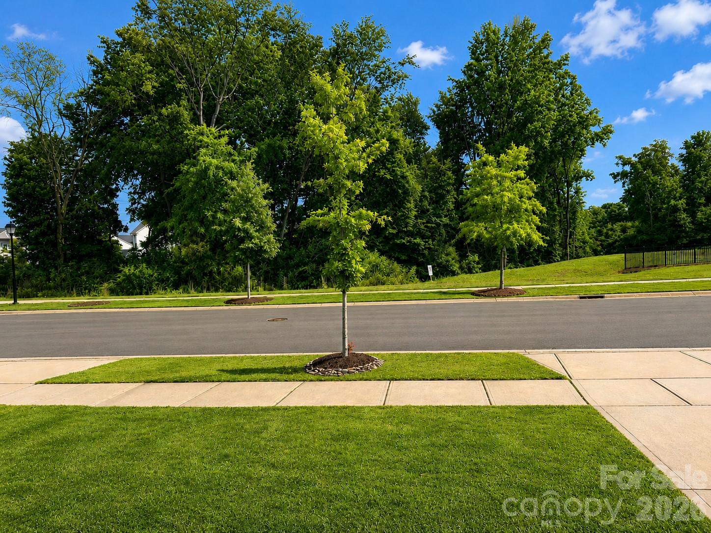 Photo 25 of 6629 Meridale Forest Drive, Charlotte, NC