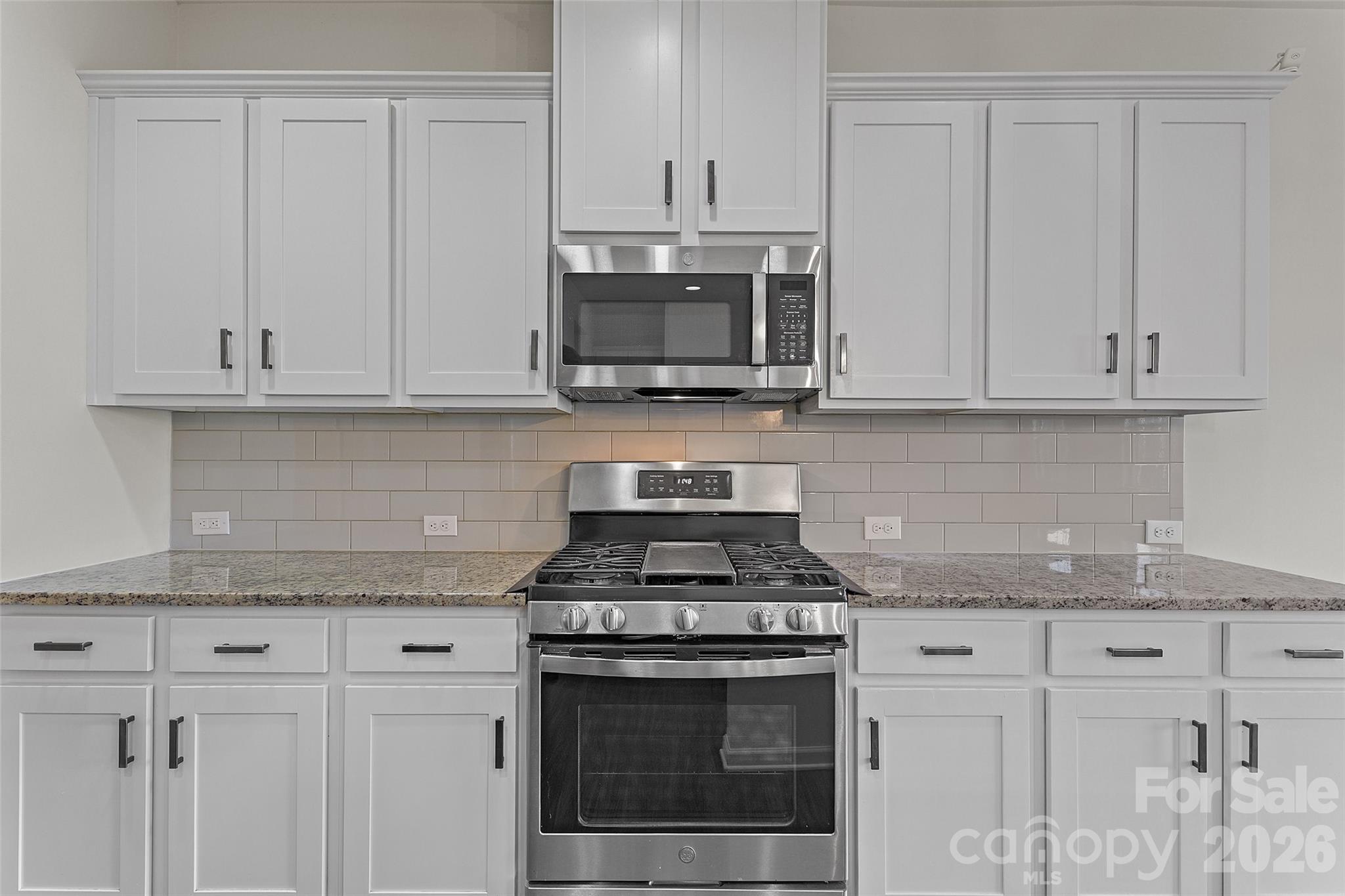 620 Amber Meadows Way, Tega Cay, SC - photo 6 of 29