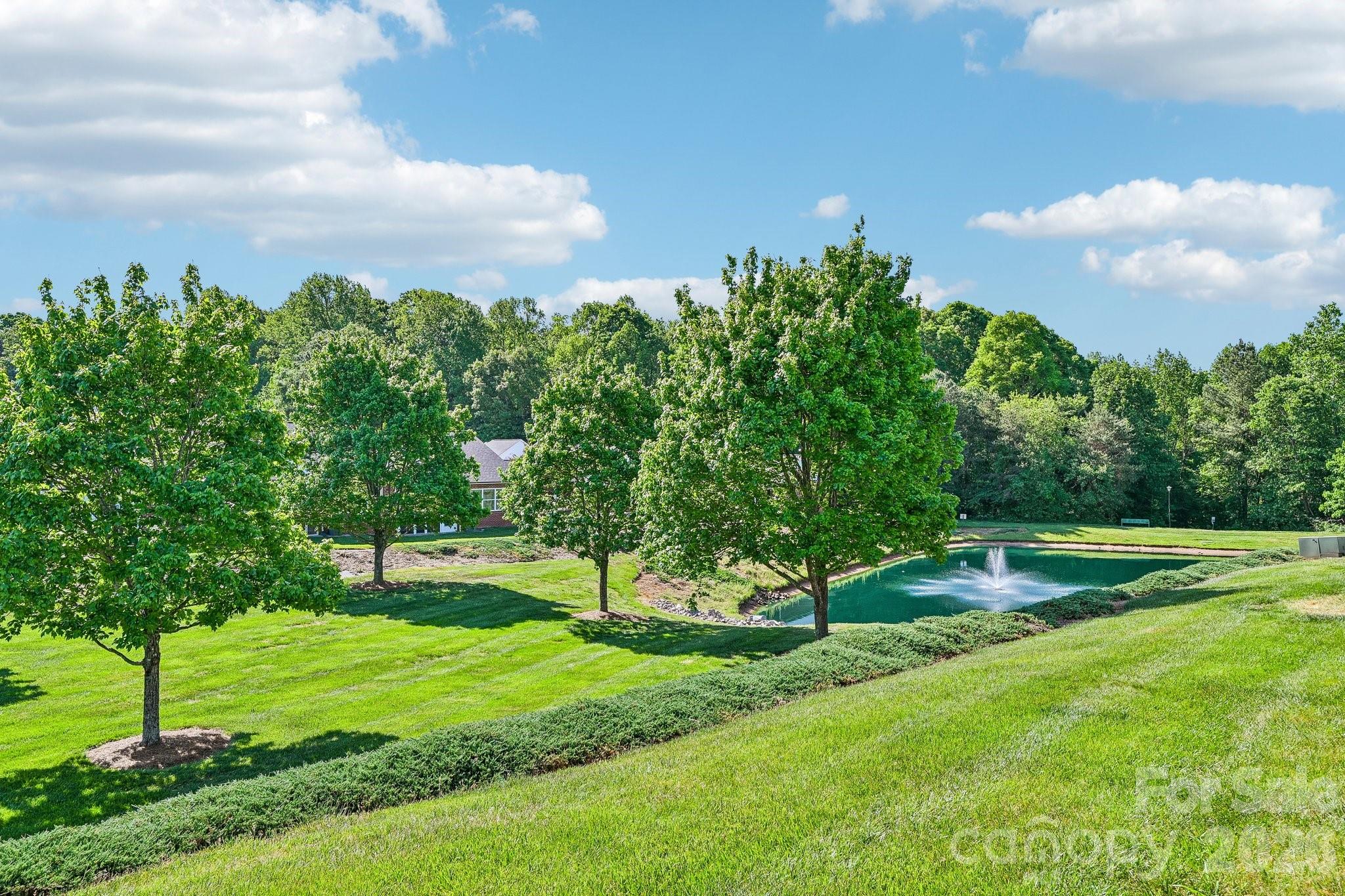 3868 Sage Court, Denver, NC - photo 34 of 35