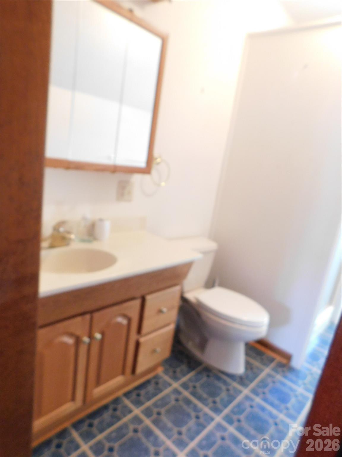 175 Briarfield Drive, Mooresville, NC - photo 20 of 31