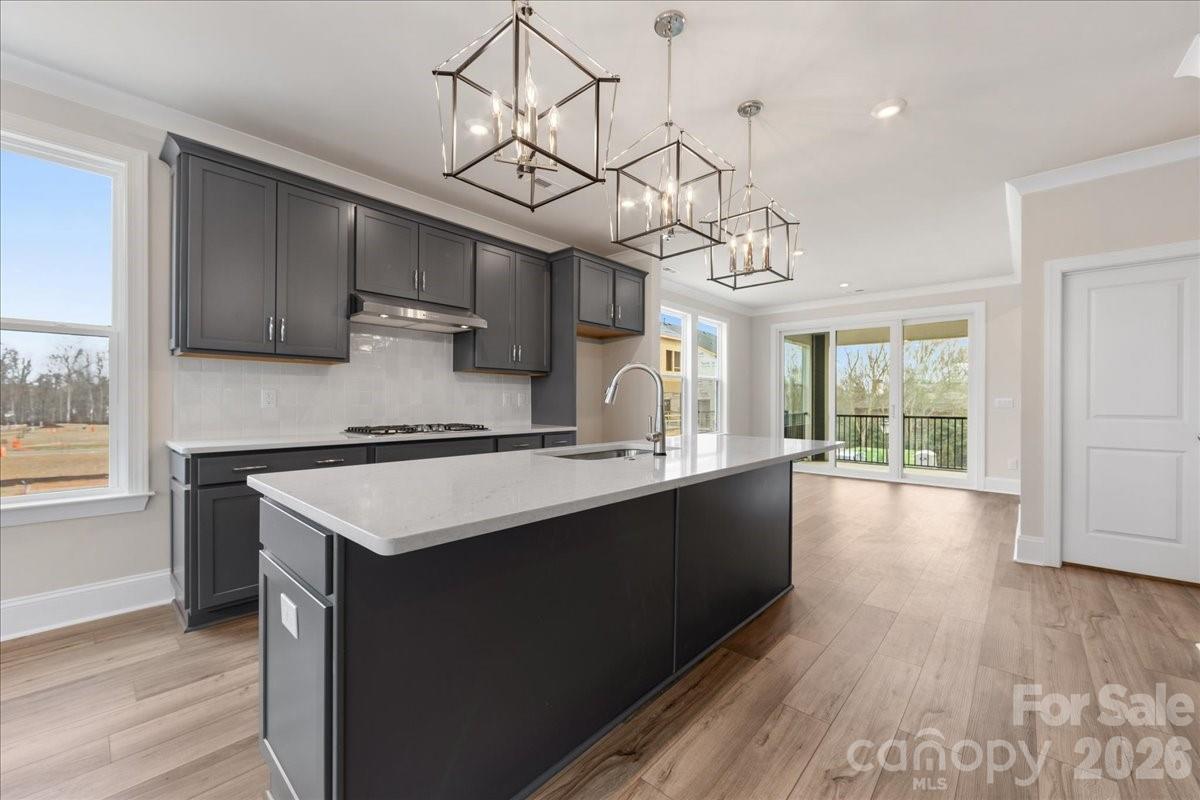 Photo 19 of 8038 Thimbleweed Circle, Charlotte, NC