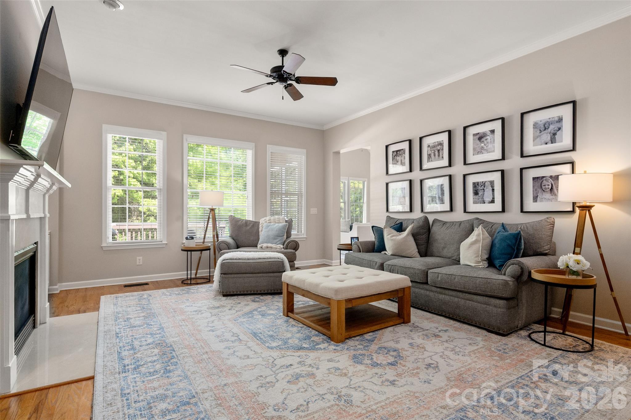 10106 Enfield Court, Indian Land, SC - photo 10 of 49