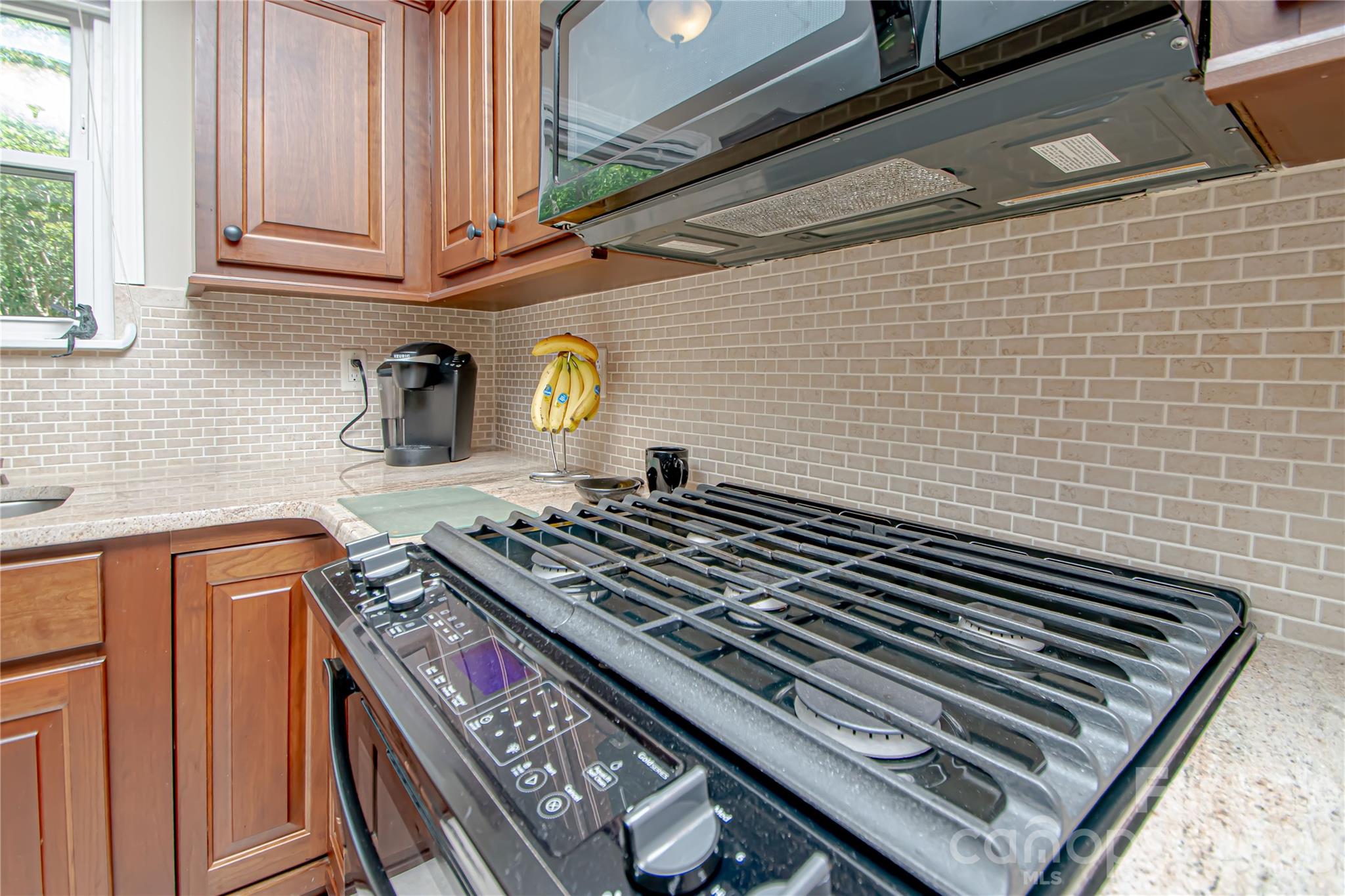 9301 Hanworth Trace Drive, Charlotte, NC - photo 23 of 42