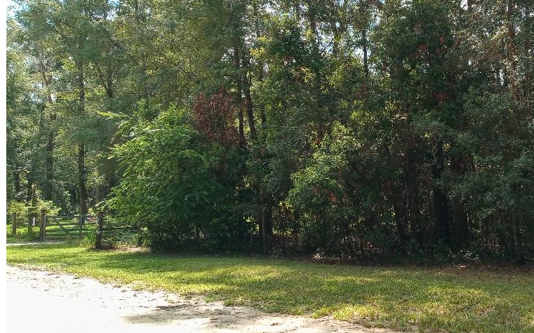 Three Rivers Estates Florida For Sale