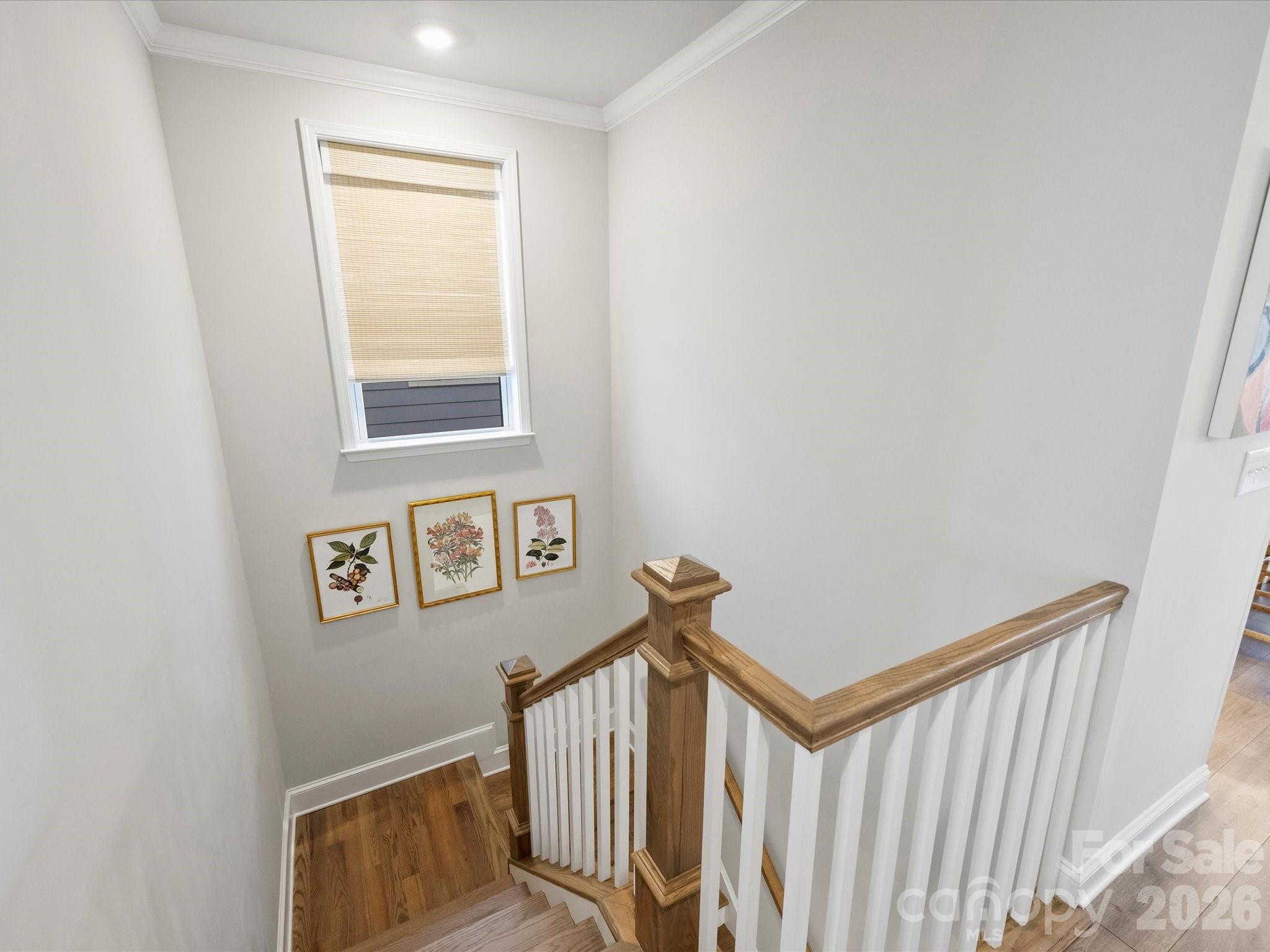 2522 Lydia Avenue, Charlotte, NC - photo 10 of 24