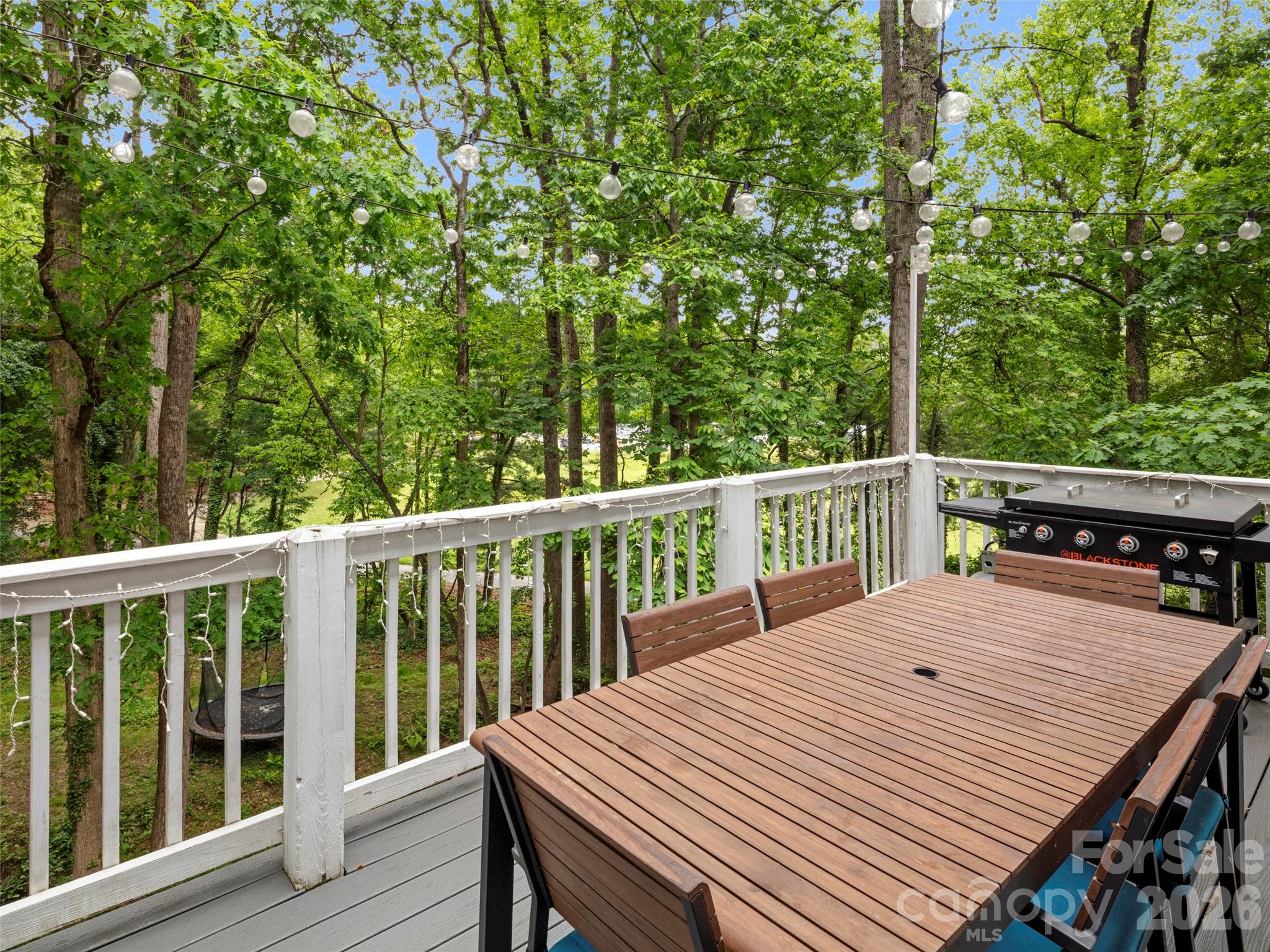 1130 New Castle Court, Asheville, NC - photo 19 of 36