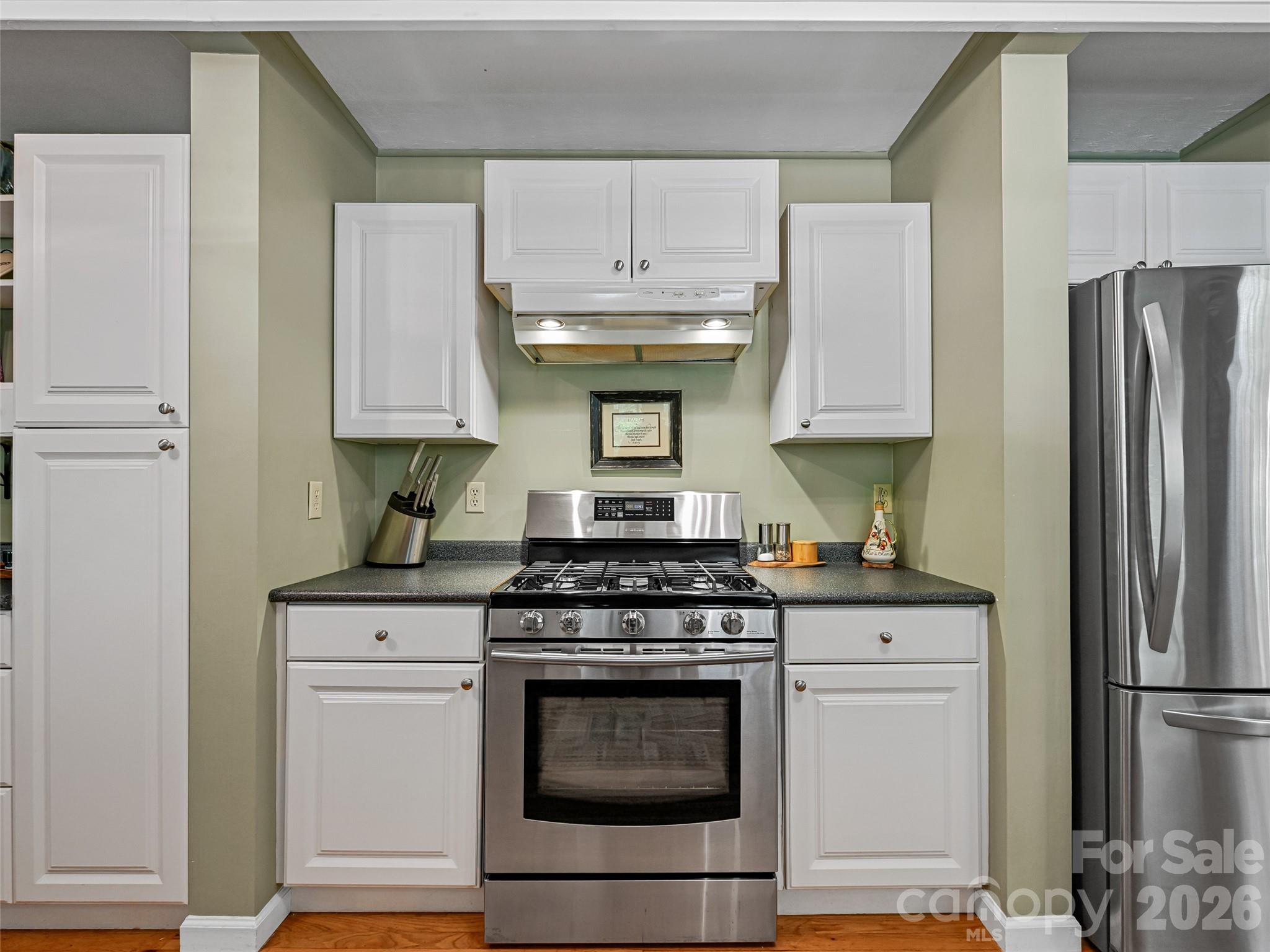18 Thousand Oaks Boulevard, Fairview, NC - photo 11 of 45