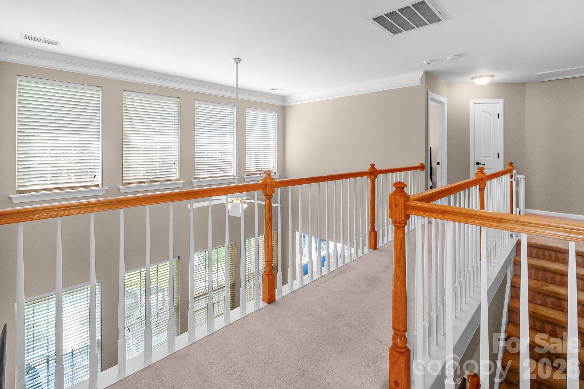 10507 Bere Island Drive, Charlotte, NC - photo 12 of 43