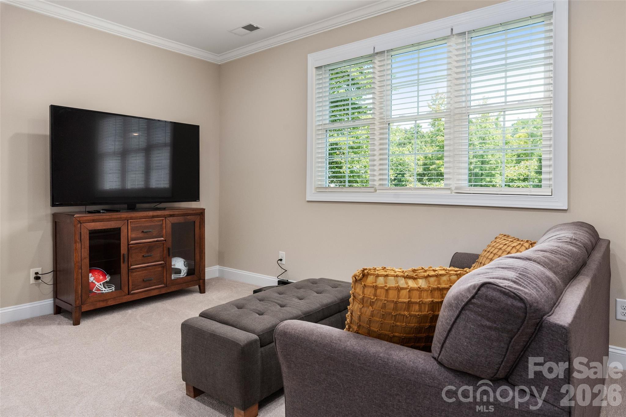 859 Irish Creek Drive, Landis, NC - photo 26 of 46
