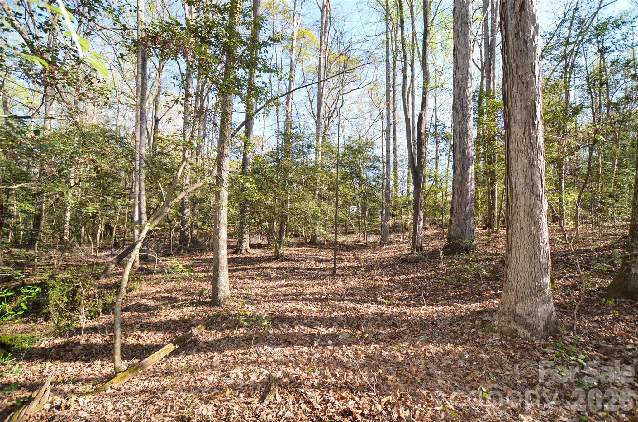 380 Montagu Drive, Spartanburg, SC - photo 46 of 49