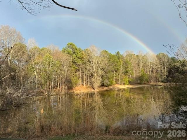 Photo 47 of 13730 Capriole Lane, Matthews, NC