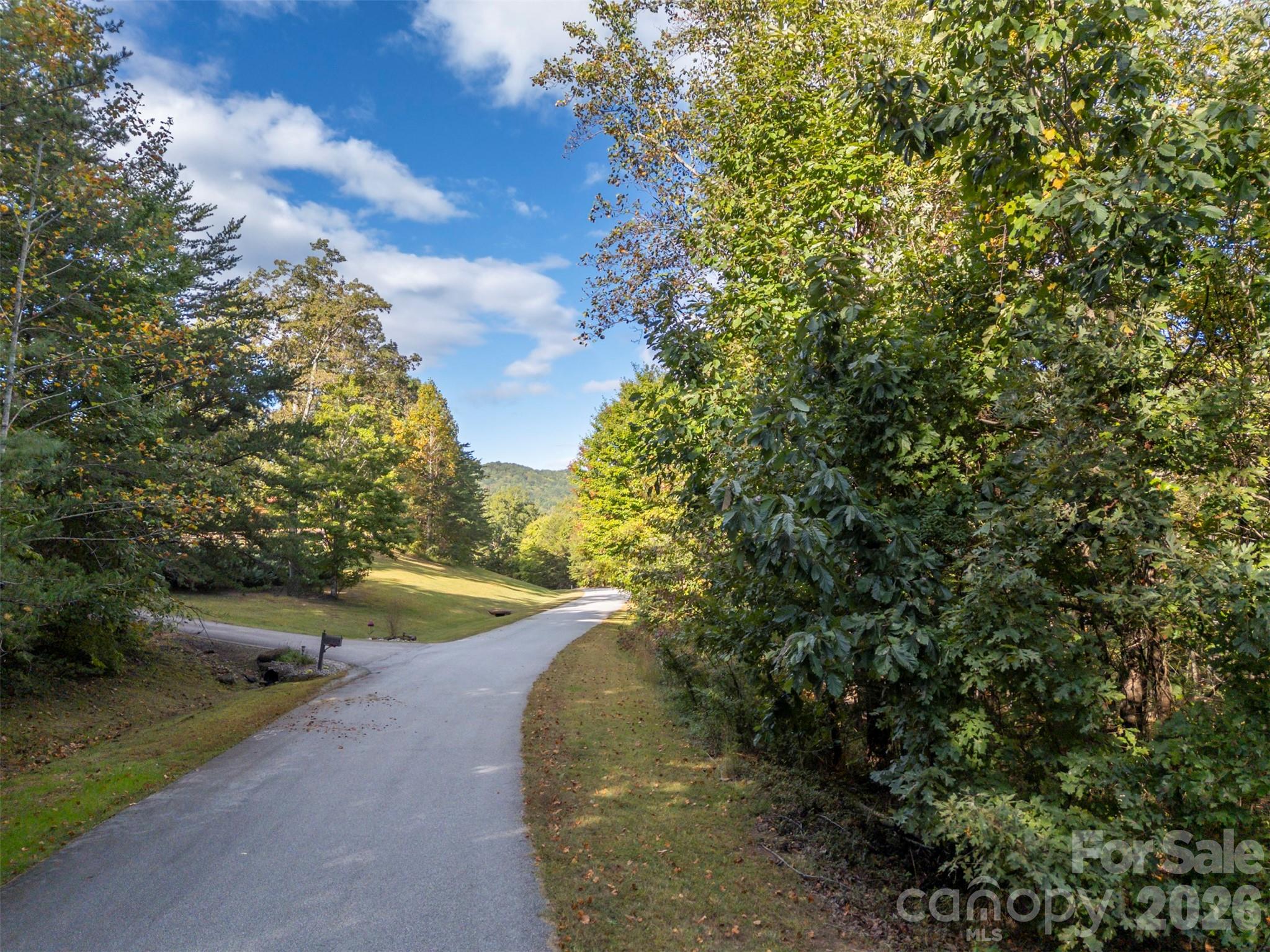 100 Pardo Road, Landrum, SC - photo 10 of 21