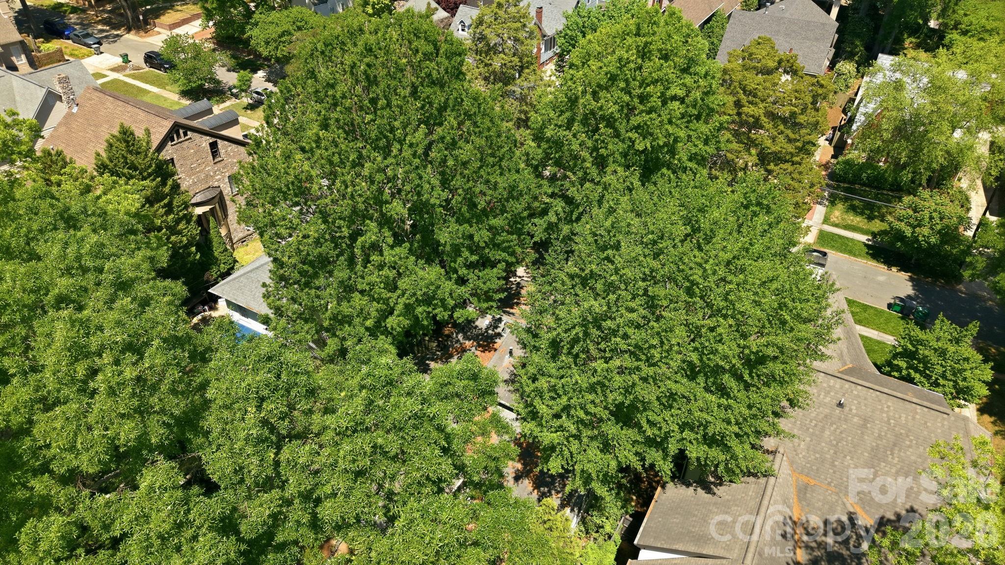 200 Altondale Avenue, Charlotte, NC - photo 33 of 38