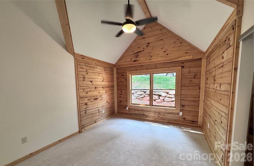 231 Bluebird Road, Lake Lure, NC - photo 11 of 25