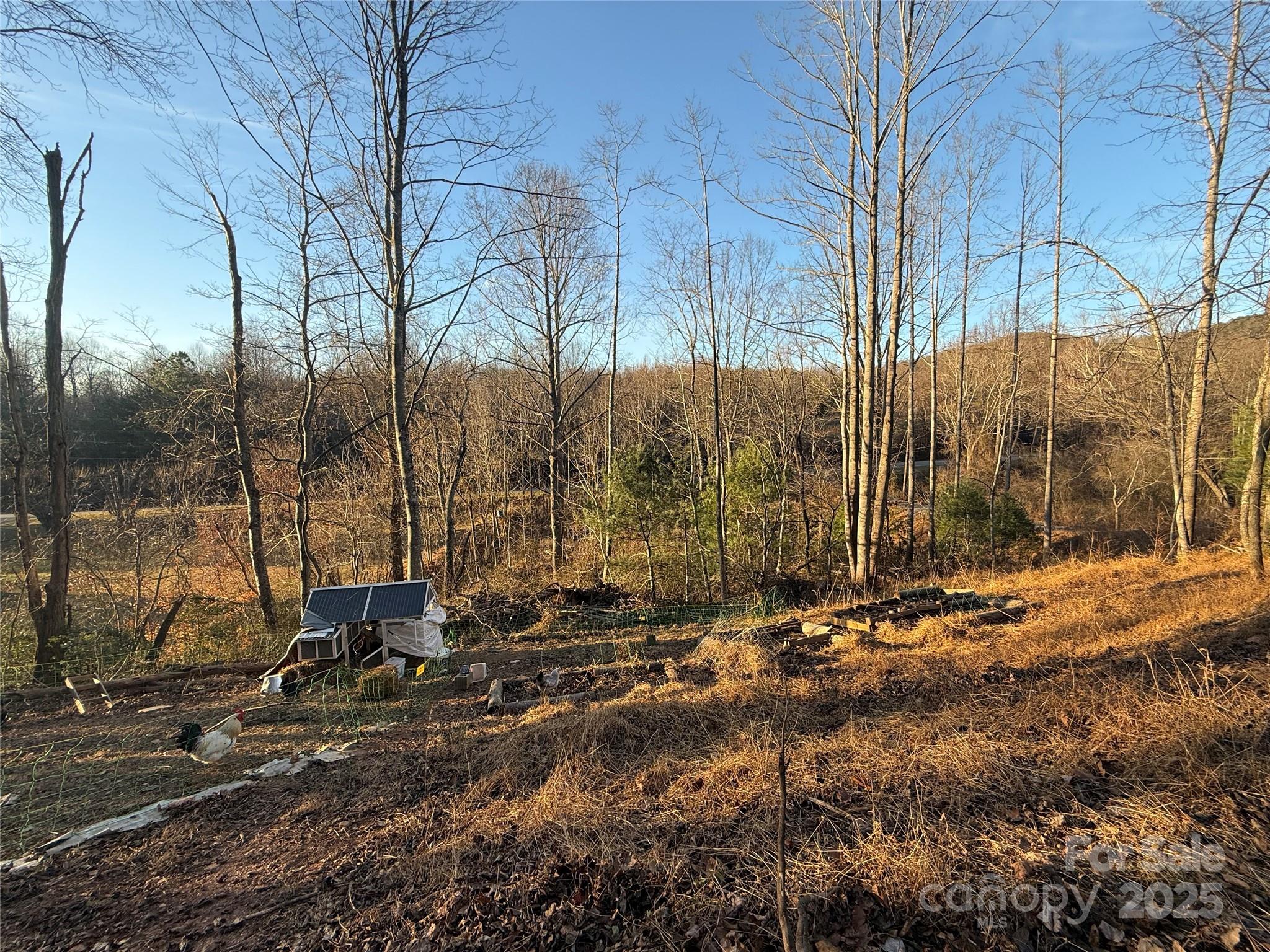 2828 E Pine Street, Mount Airy, NC - photo 29 of 31