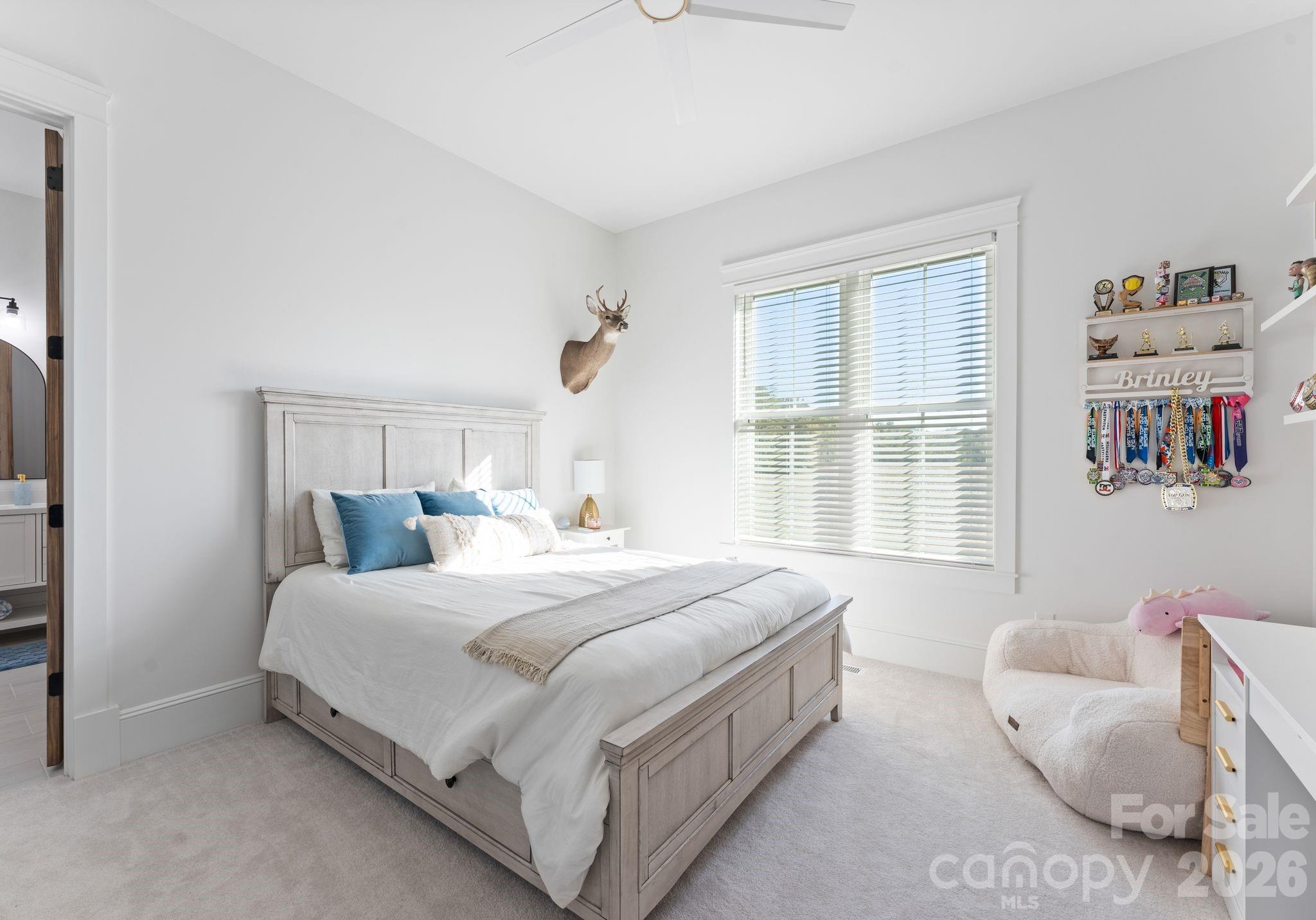 3760 Cappadocia Church Road, Polkton, NC - photo 25 of 49