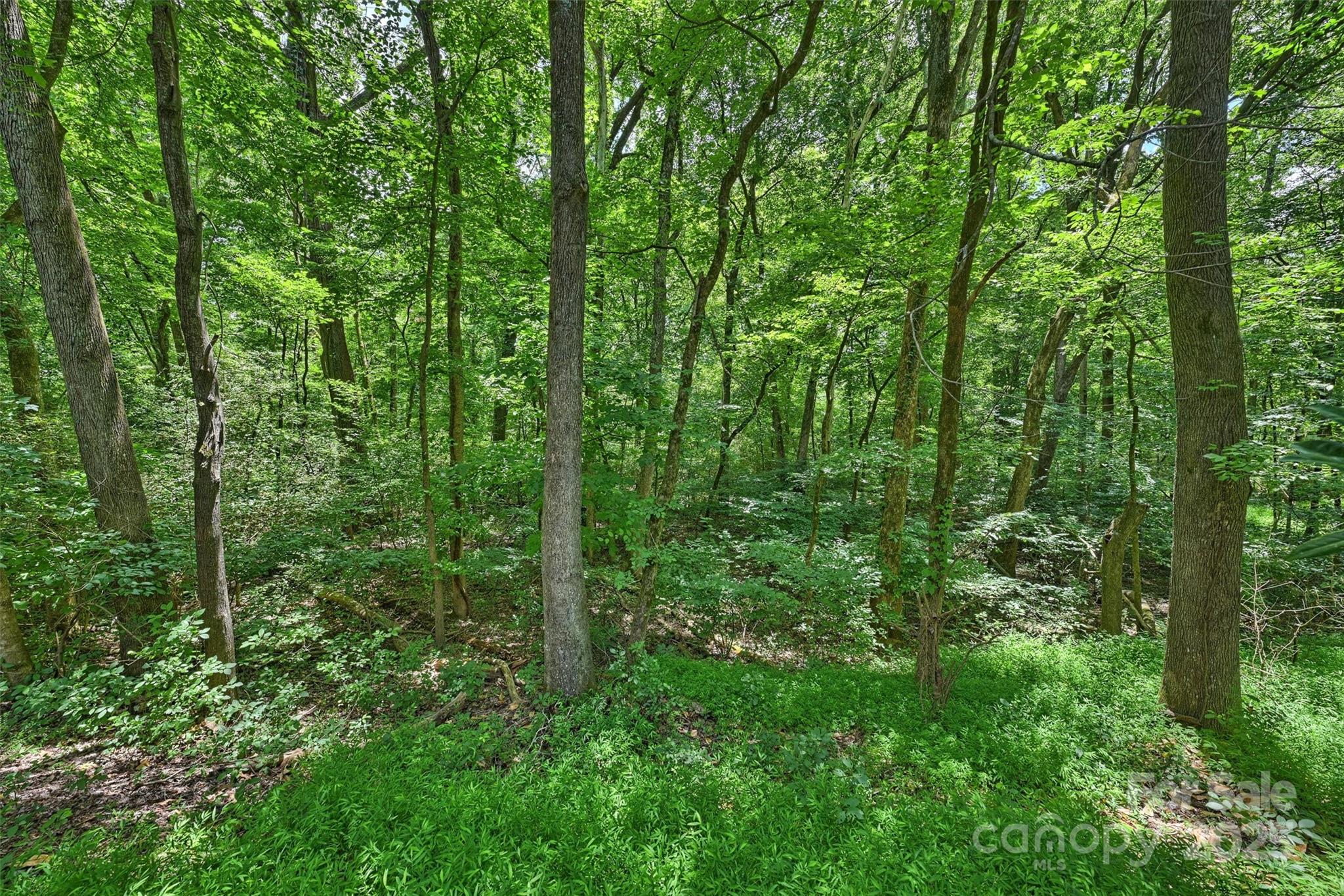 6115 Coltswood Court, Charlotte, NC - photo 33 of 39