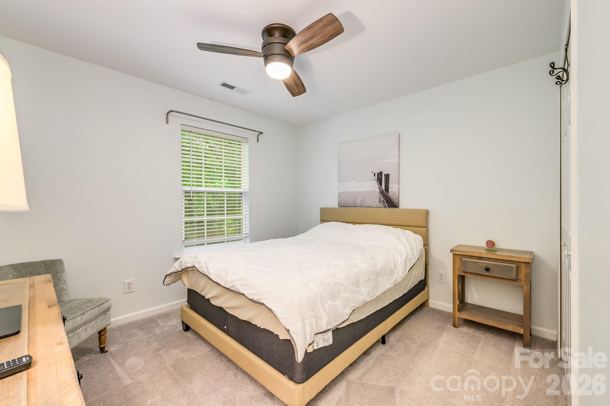 10732 Trolley Run Drive, Cornelius, NC - photo 26 of 49