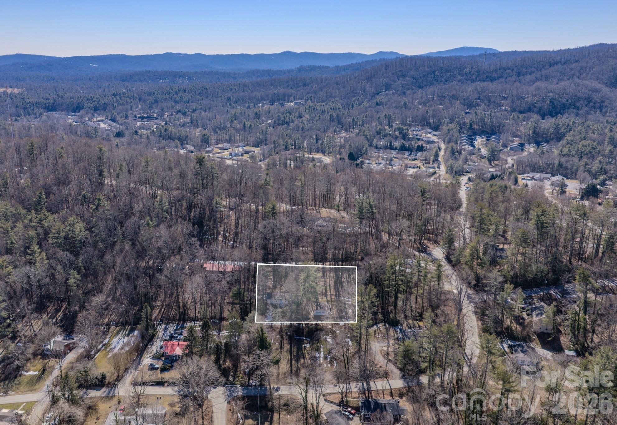 550 Saluda Street, Hendersonville, NC - photo 2 of 30