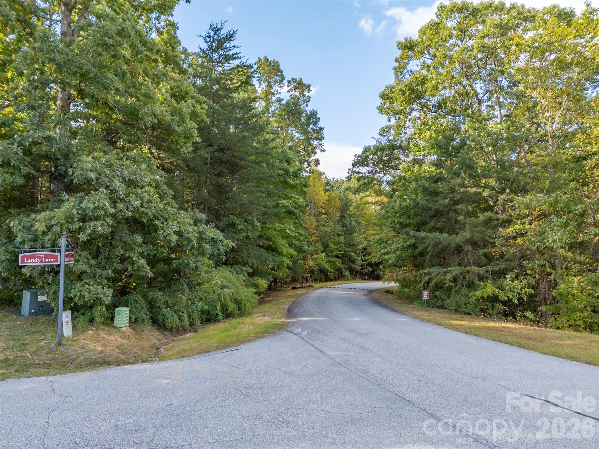 100 Pardo Road, Landrum, SC - photo 2 of 21