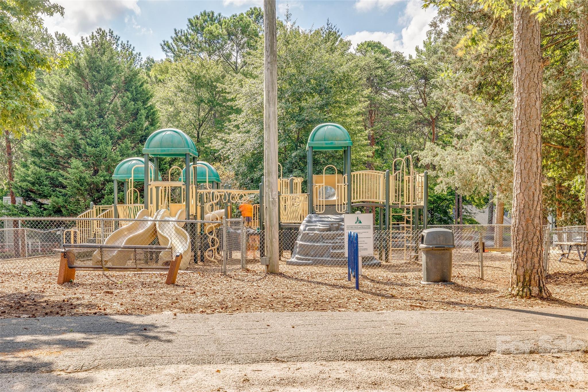 1039 Hunters Run Drive, Tega Cay, SC - photo 34 of 38