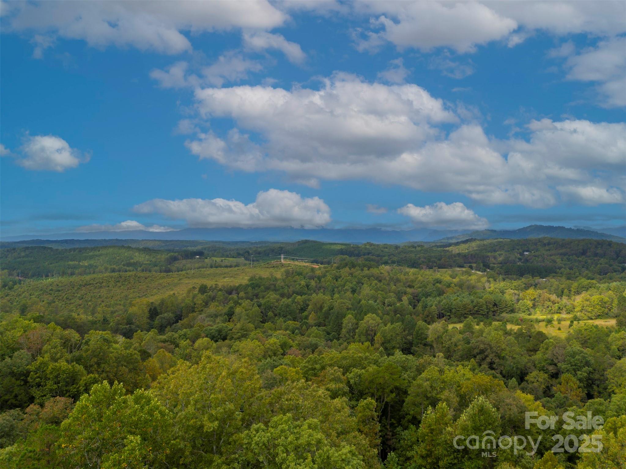 167 Balfour Drive, Rutherfordton, NC - photo 44 of 49