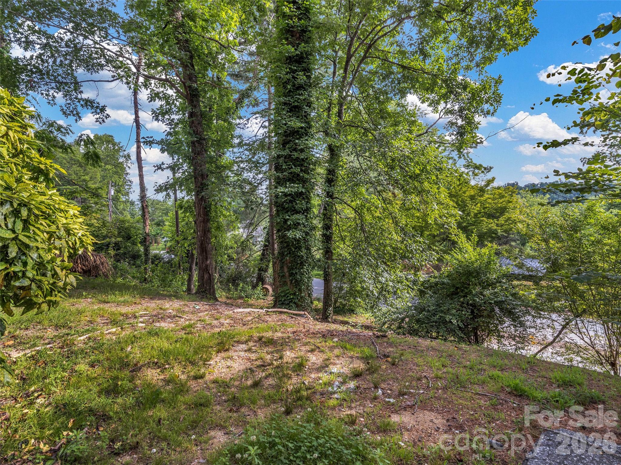 114 Elden Street, Hendersonville, NC - photo 25 of 28