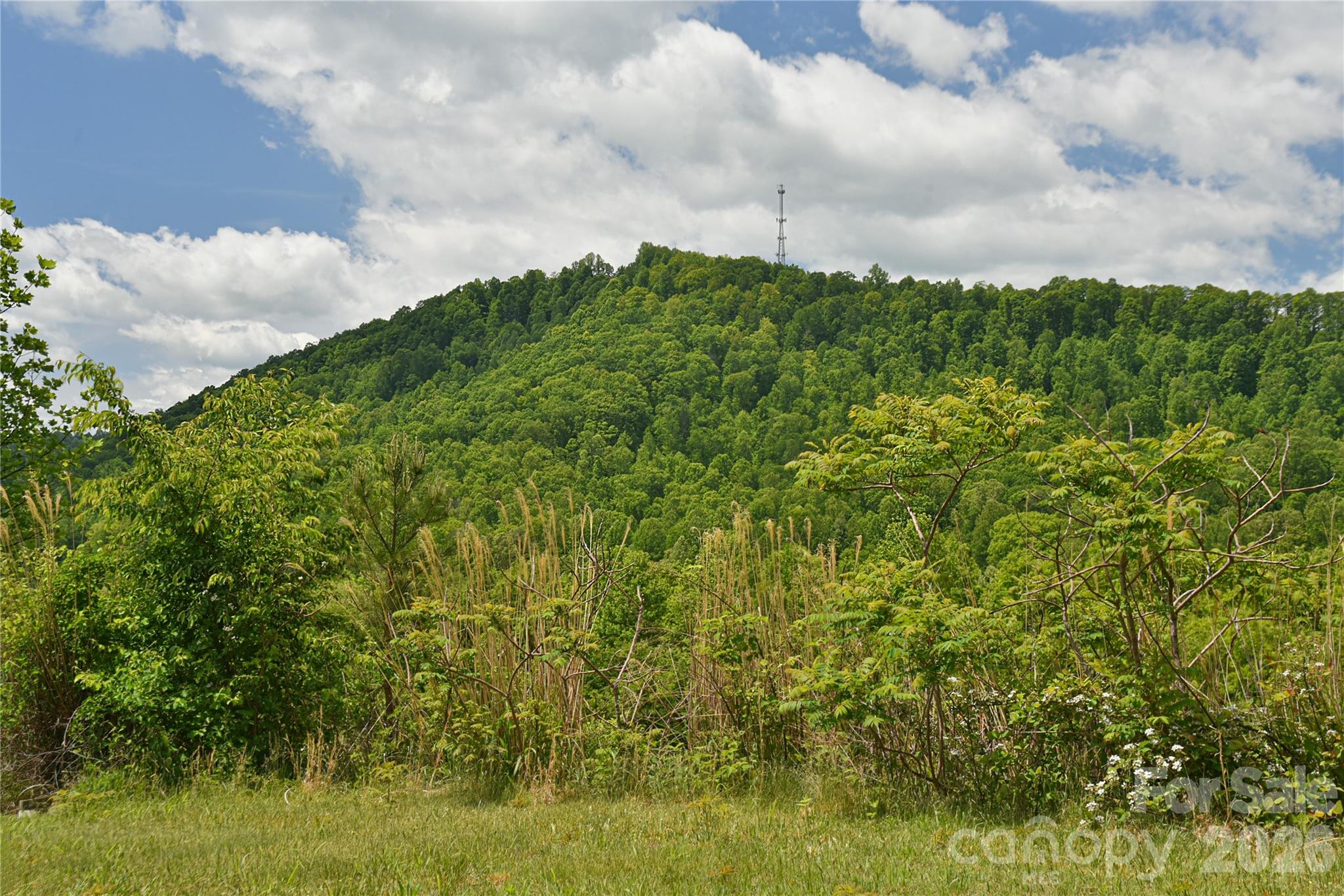 116 Kay Road, Flat Rock, NC - photo 30 of 35