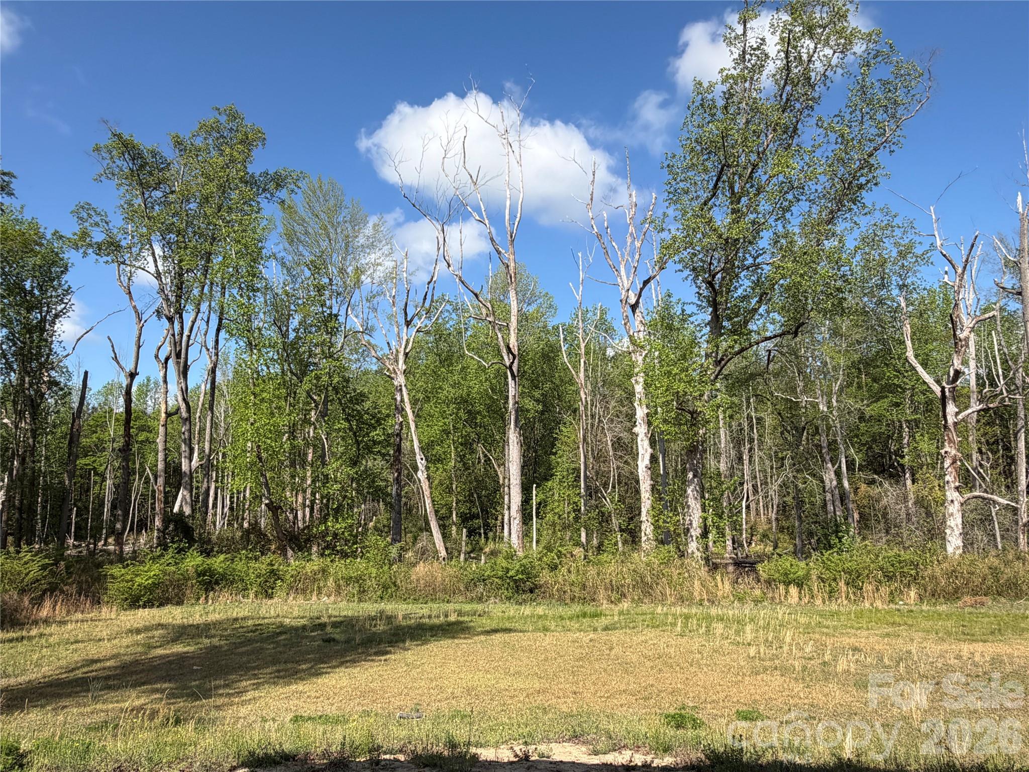 408 N Elm Street, Pageland, SC - photo 26 of 27