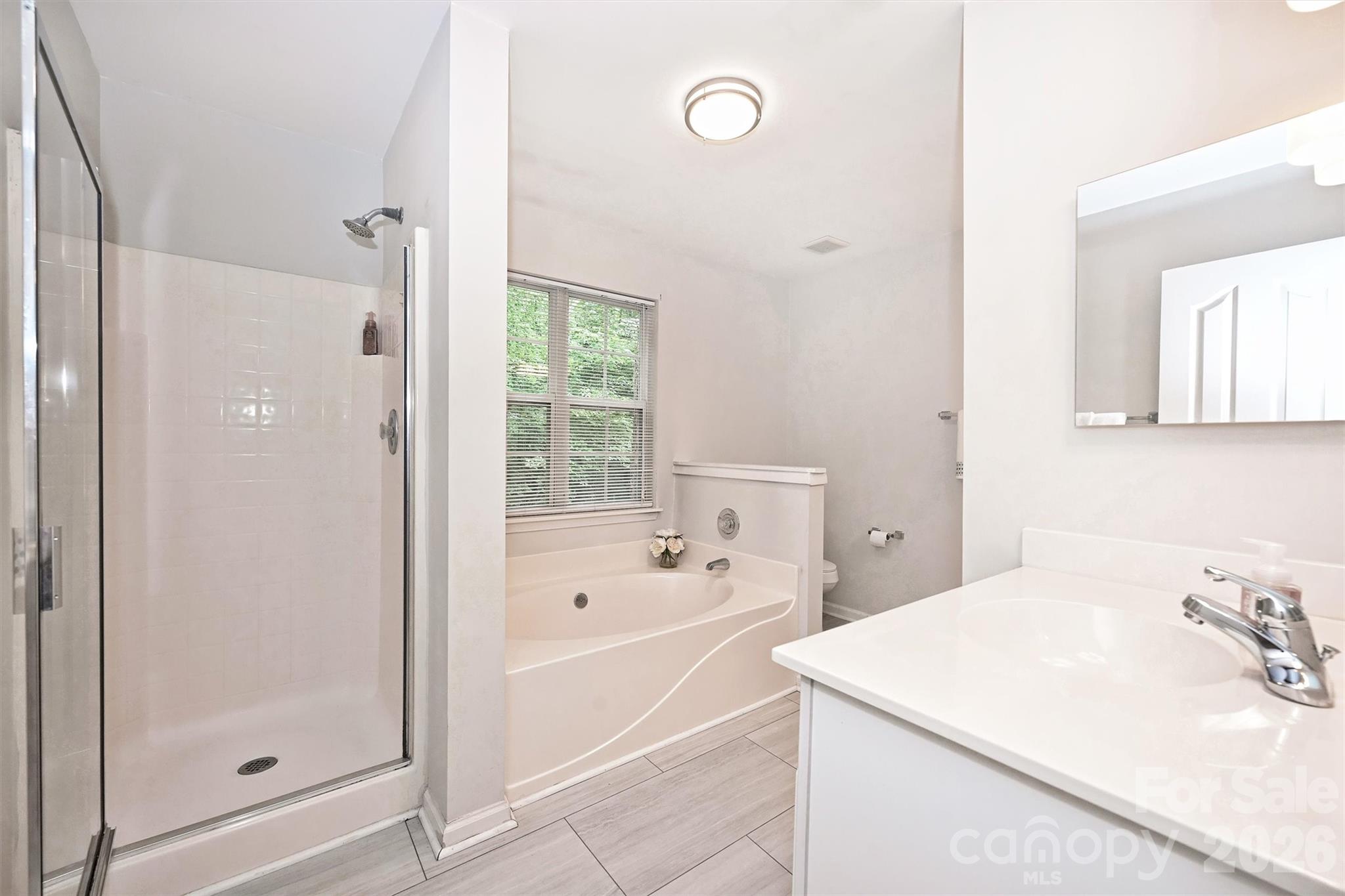 Photo 21 of 12048 Brownestone View Drive, Charlotte, NC
