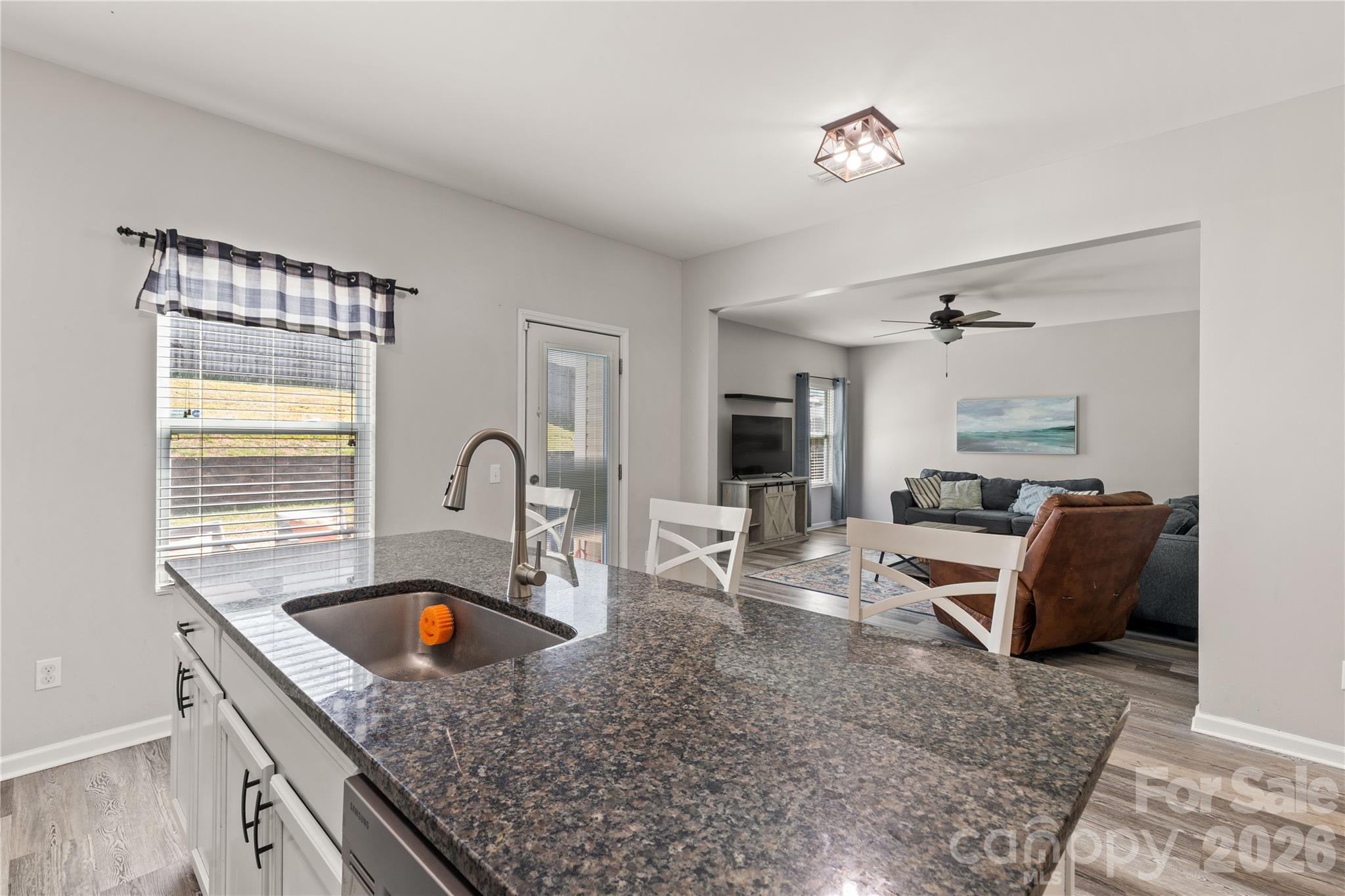 493 Dutch White Drive, Clover, SC - photo 13 of 45