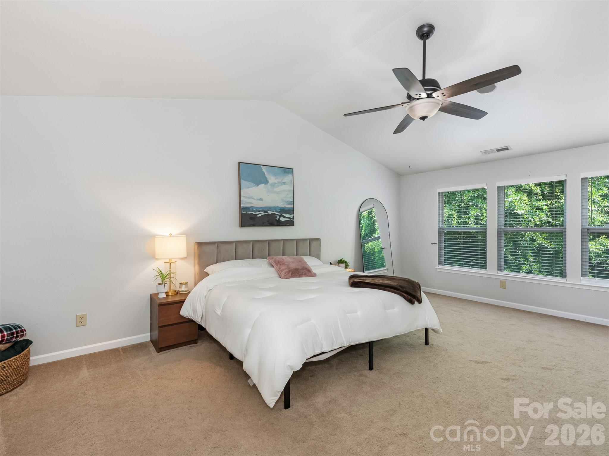 941 Capetown Lane, Clover, SC - photo 19 of 26
