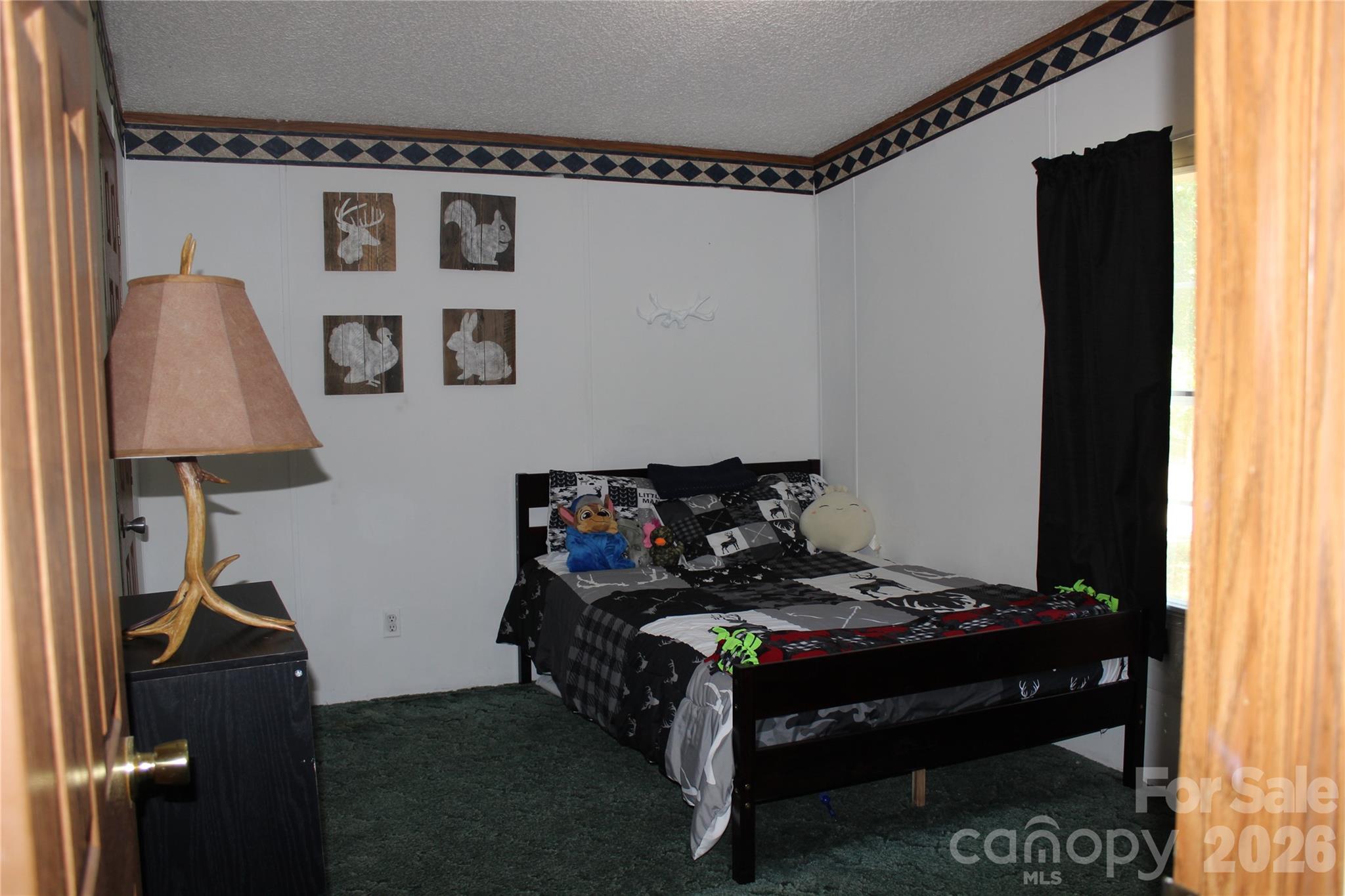 249 J L Green Lane, Pageland, SC - photo 33 of 35