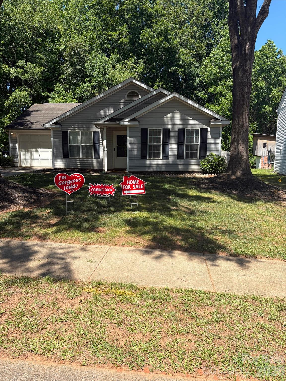 8019 shiny Meadow Lane, Charlotte, NC - photo 1 of 18