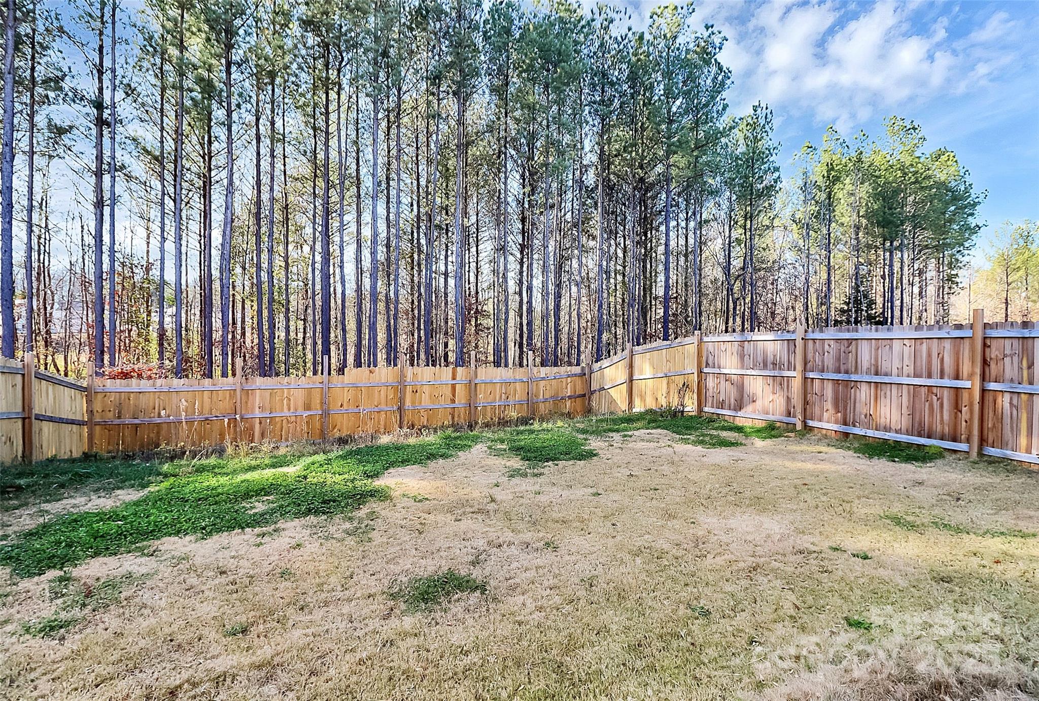 Photo 31 of 5209 Wolfridge Avenue, Charlotte, NC