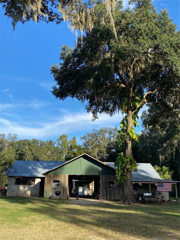 Want to Get Started With a New Horse Farm? | Ocala Ranches
